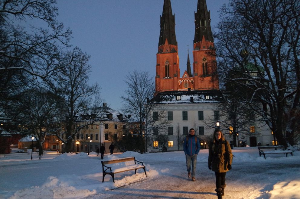 Sweden: 7 Things To Know Before You Go - Study in Sweden