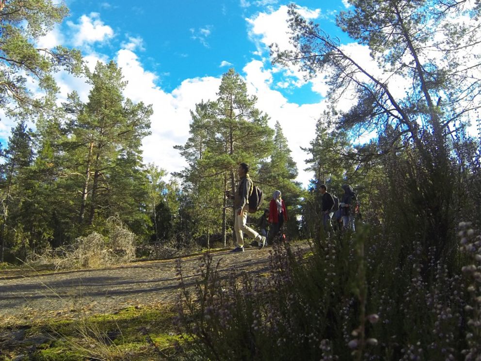 Tyresta National Park - Study in Sweden