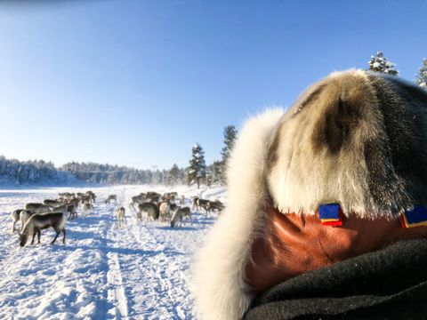 Indigenous People of Sweden: The Sámi - Study in Sweden
