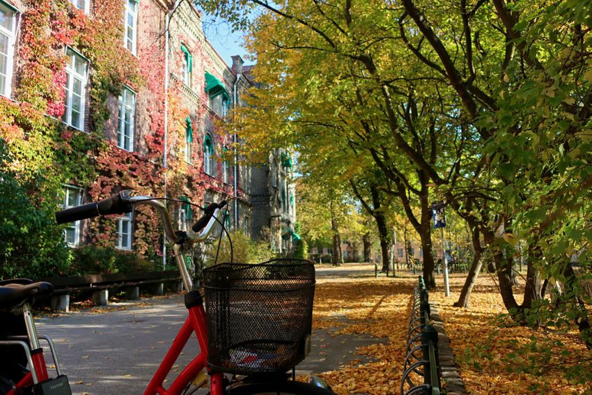 How beautiful Swedish beaches provide the perfect study break when in ...