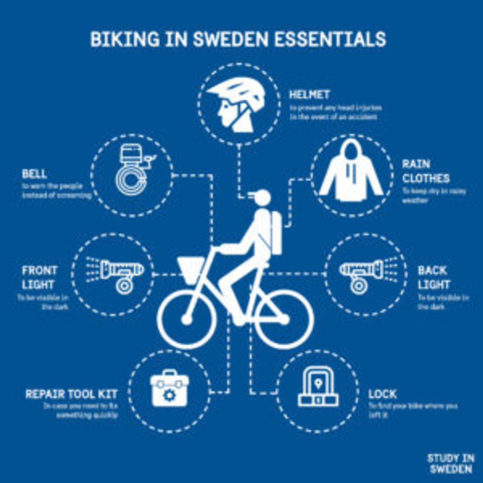 5 things you need to know before cycling in Sweden - Study in Sweden