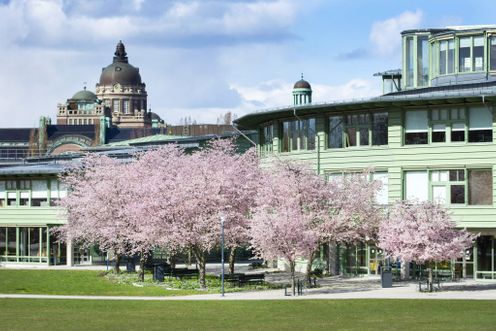 Stockholm University - Study in Sweden