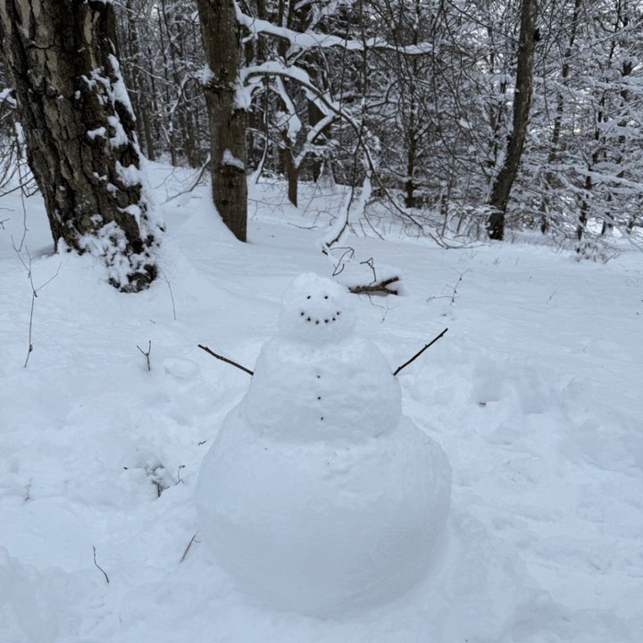 Walking to Class in a Snowstorm?! How to Navigate Weather-Related ...