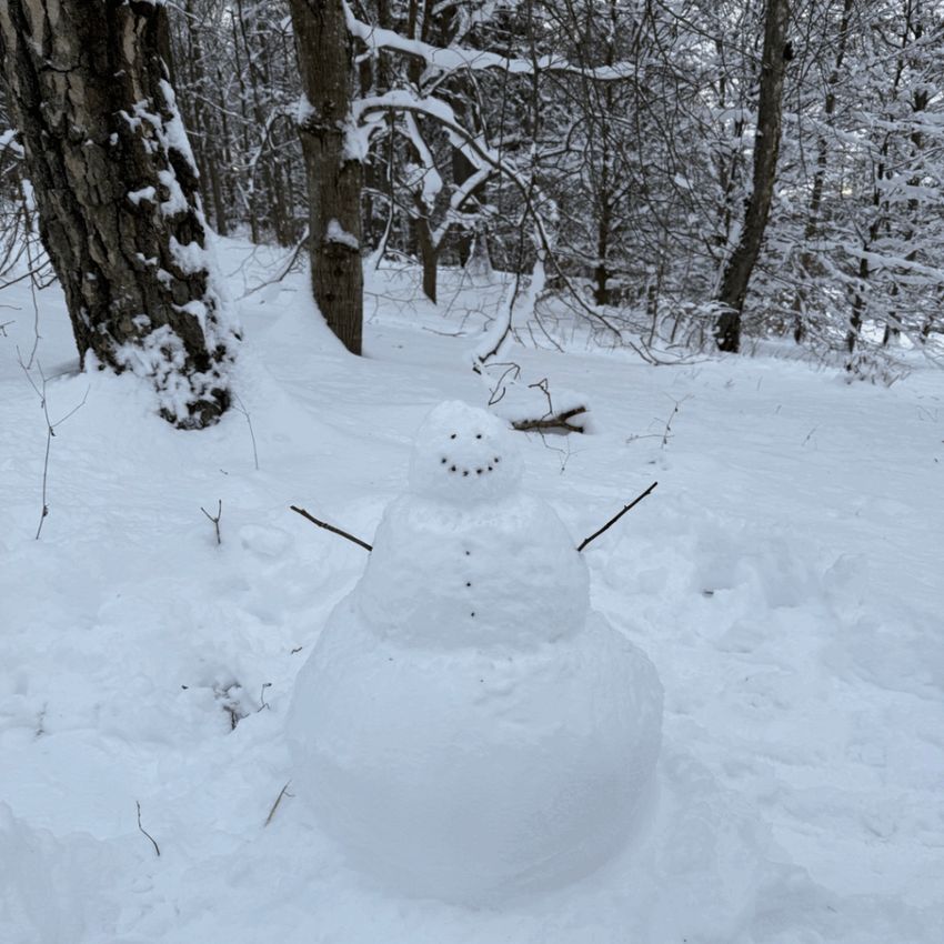Walking to Class in a Snowstorm?! How to Navigate Weather-Related ...